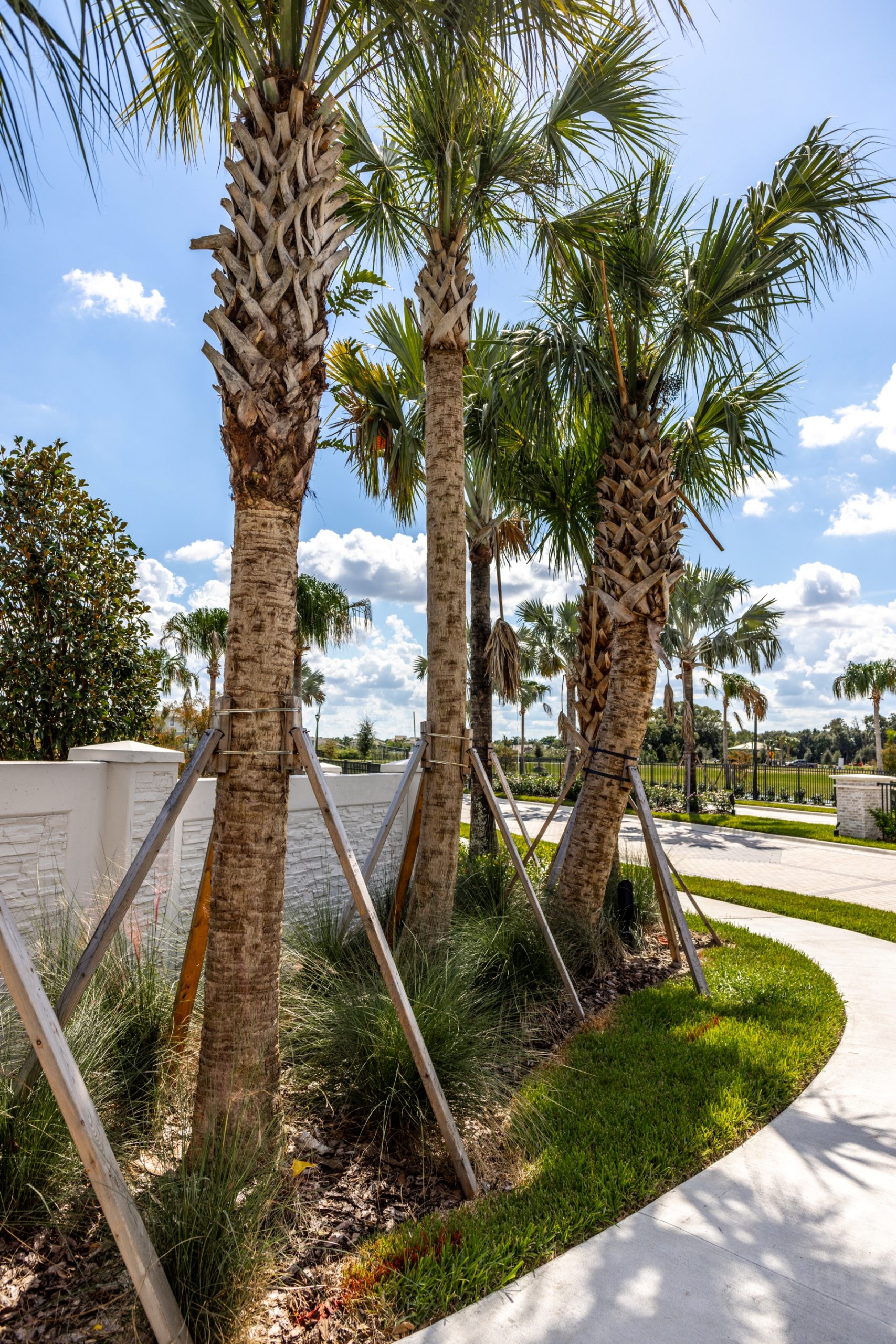 Winter Grove – Grow With The Flow Irrigation